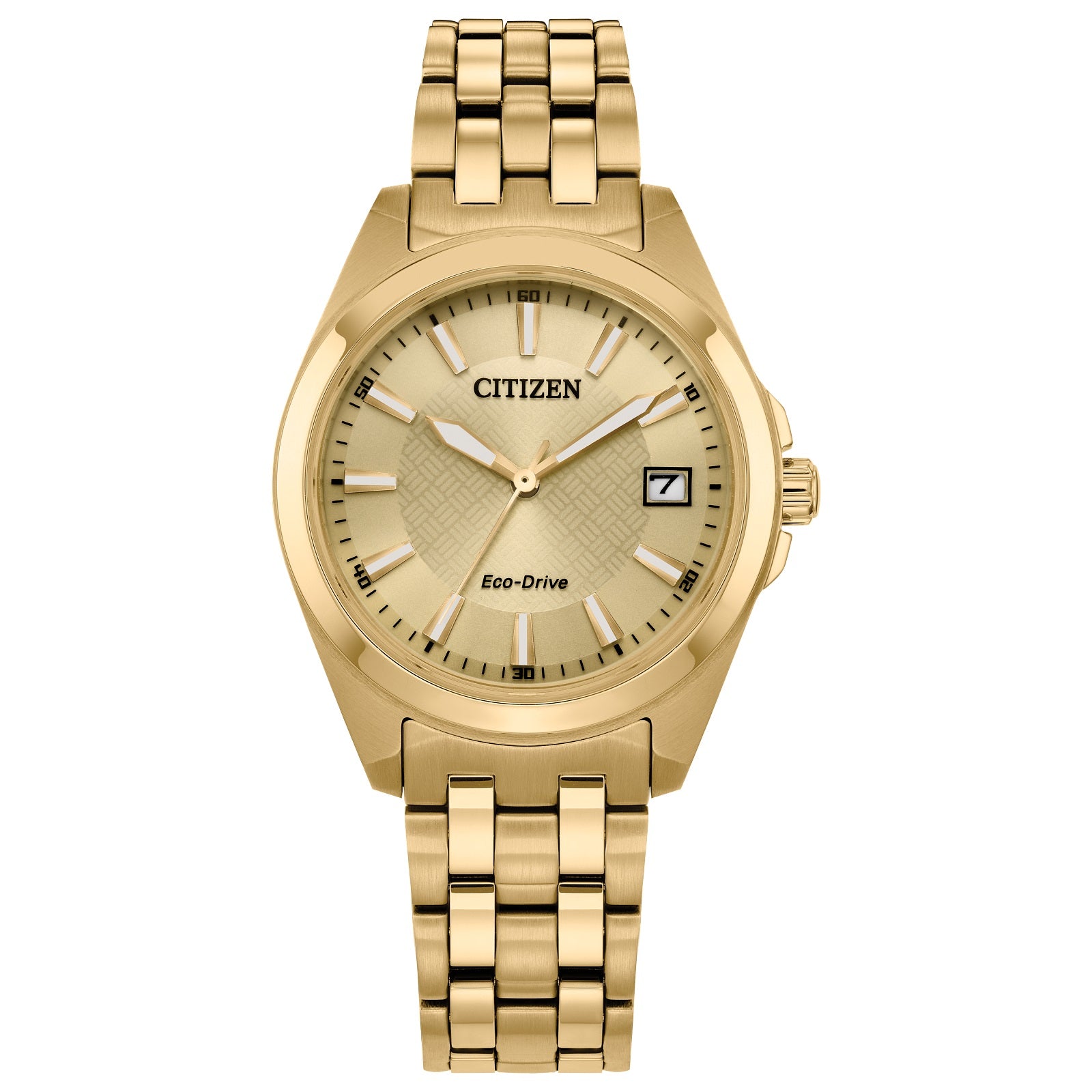 Ladies Eco-Drive WR100 SSG BRAC CHAMPAGNE – Roberts & Co Jewelers